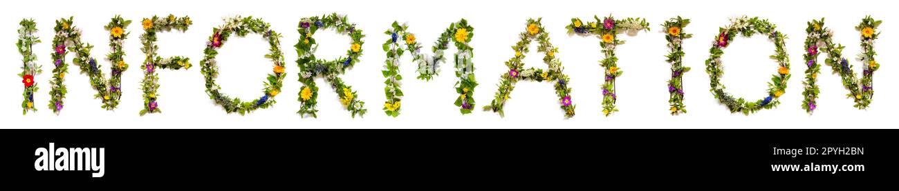 Colorful Blooming Flower Letters Building Word Information Stock Photo ...