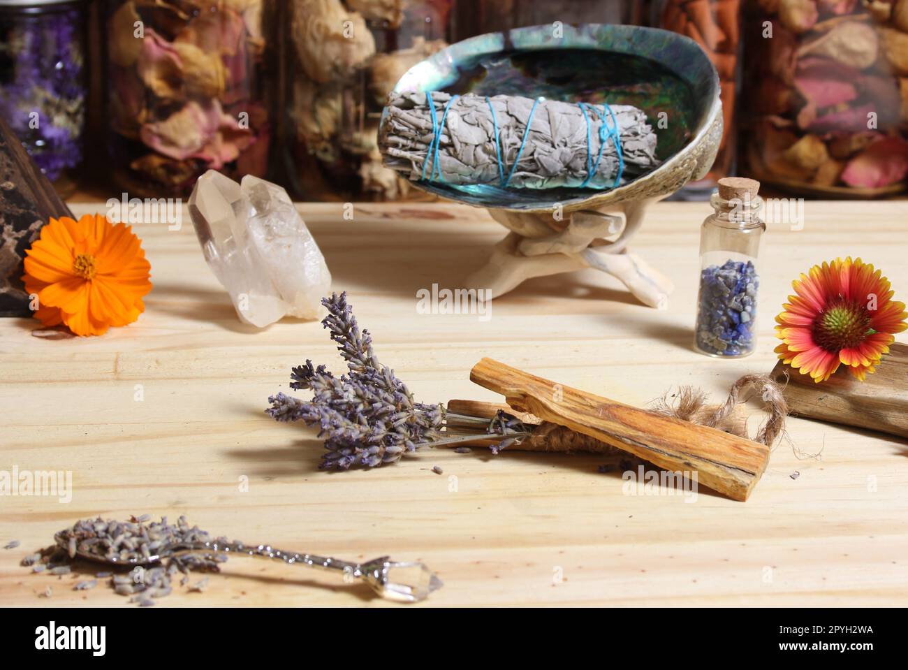 Dried Lavender With Palo Santo Wood and Abalone Shell For Smudging ...