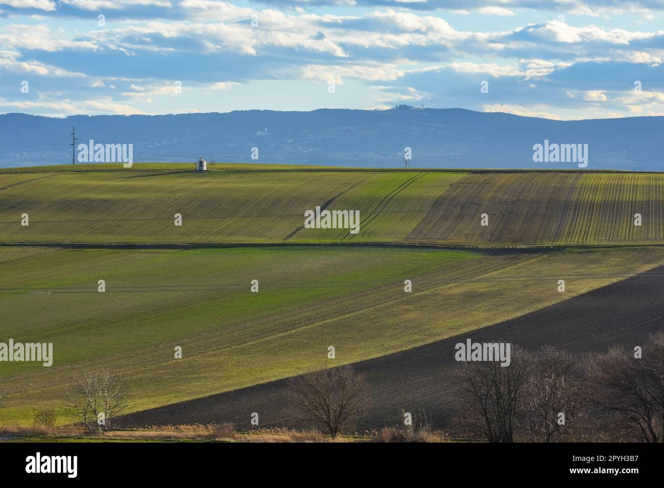 landscape with colorful different fields with a wayside shrine Stock ...