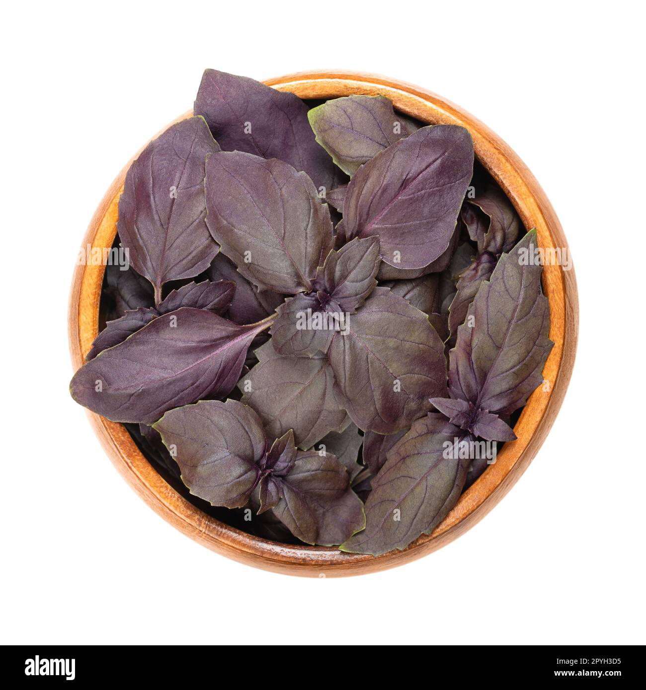 Basil plant big hi-res stock photography and images - Alamy