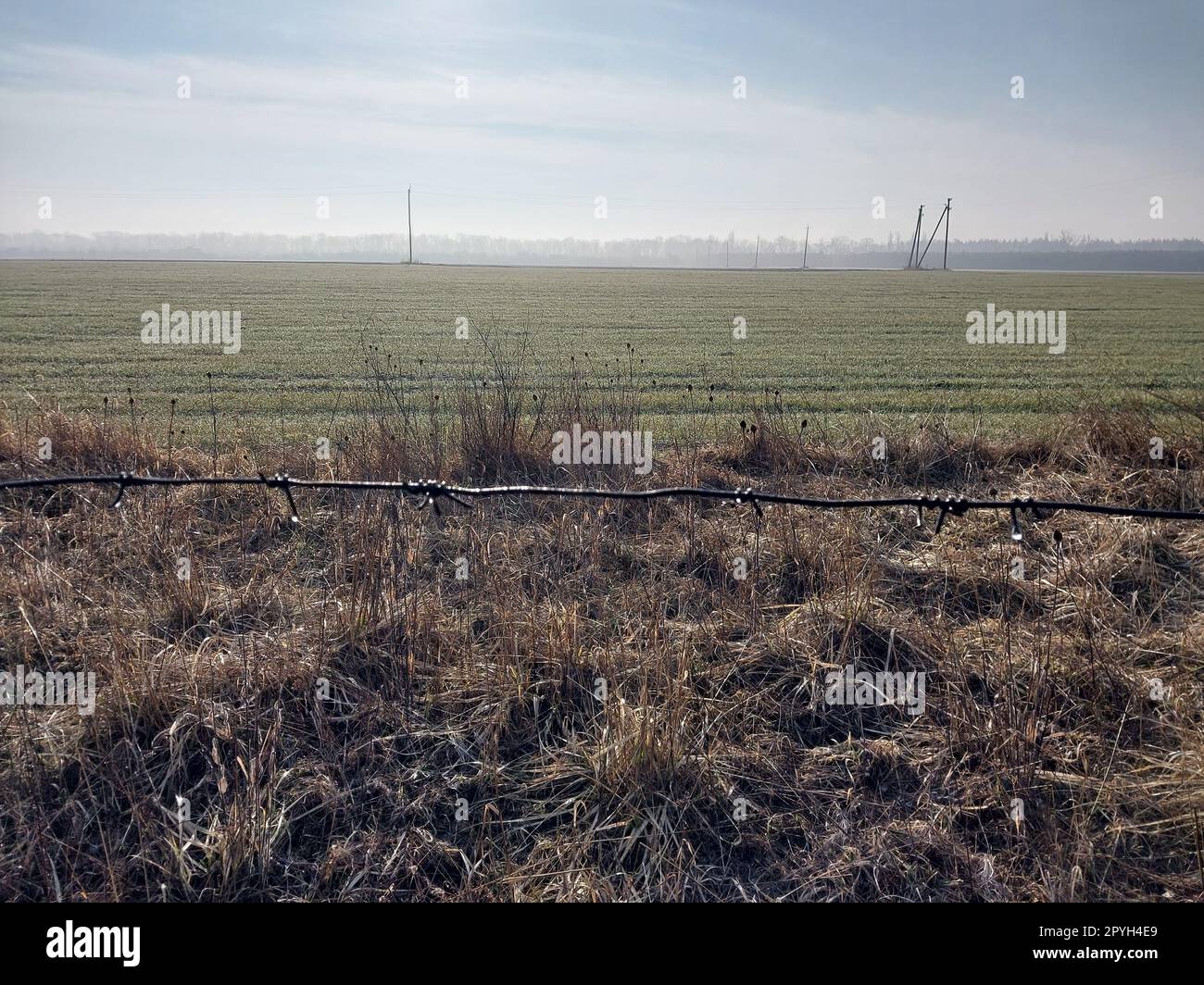 Dawn spring hi-res stock photography and images - Alamy