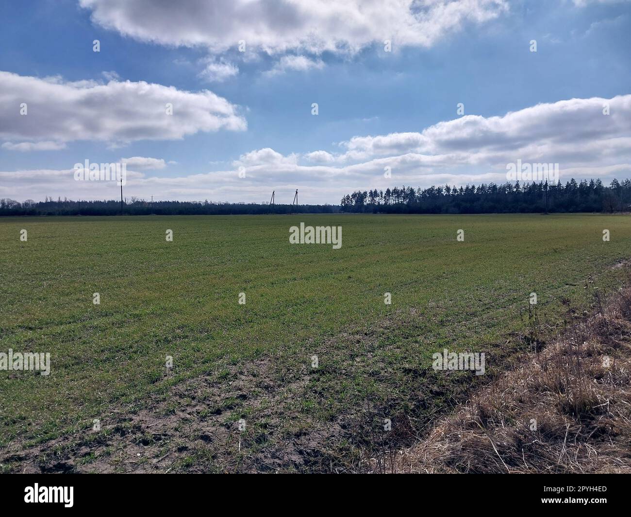 Panorama green pasture farm hi-res stock photography and images - Alamy