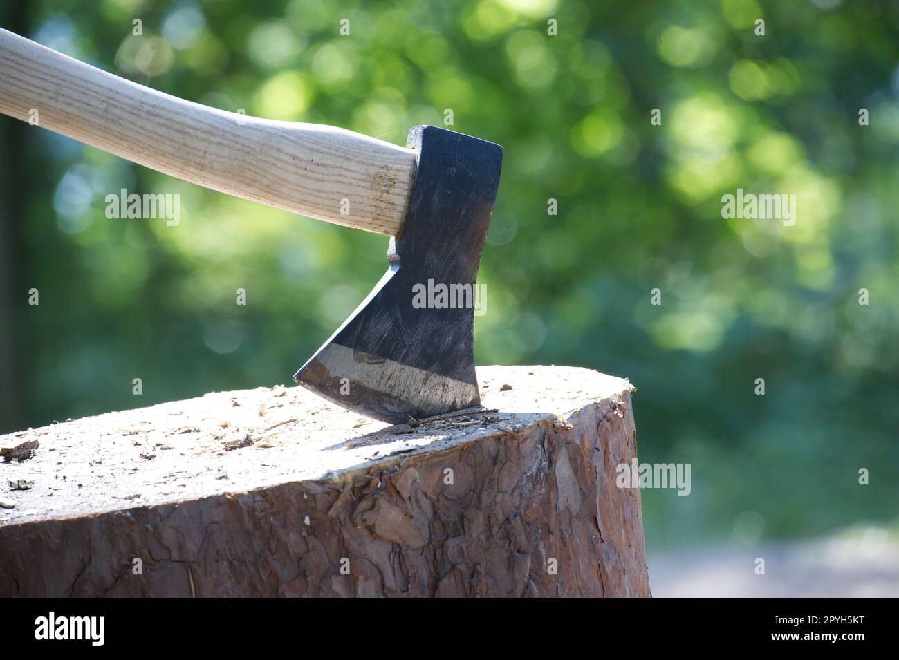 Chopper or axe standing upright in a tree stump Stock Photo - Alamy