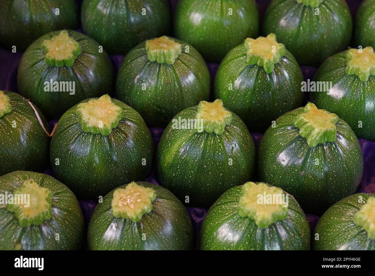 Green zucchini hi-res stock photography and images - Alamy