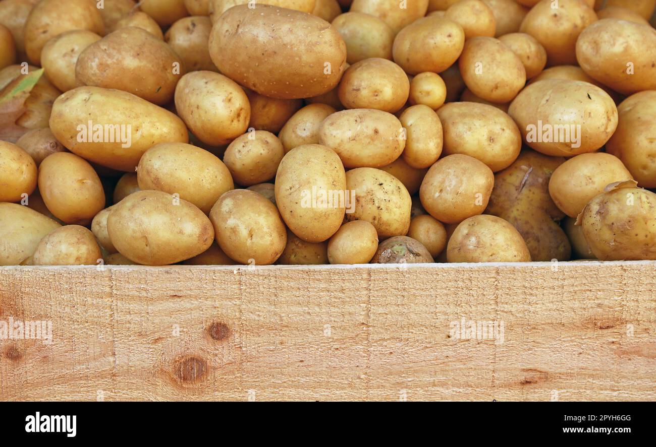 Close up heap of new potato at retail display Stock Photo - Alamy