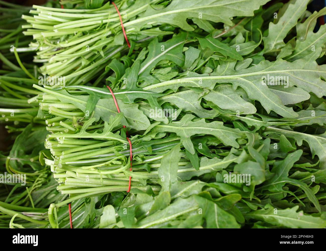 Heap fresh rocket salad hi-res stock photography and images - Alamy