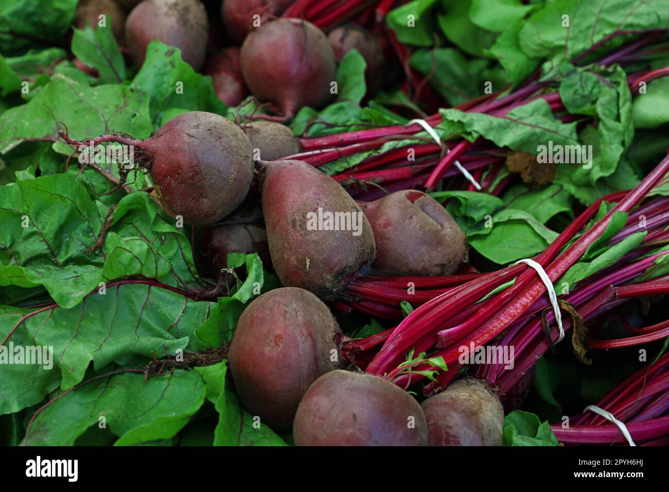 Red bunches hi-res stock photography and images - Alamy