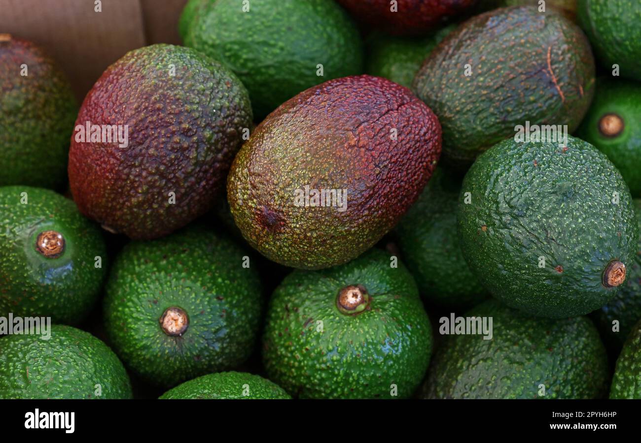 Fresh green and purple avocado on retail display Stock Photo - Alamy