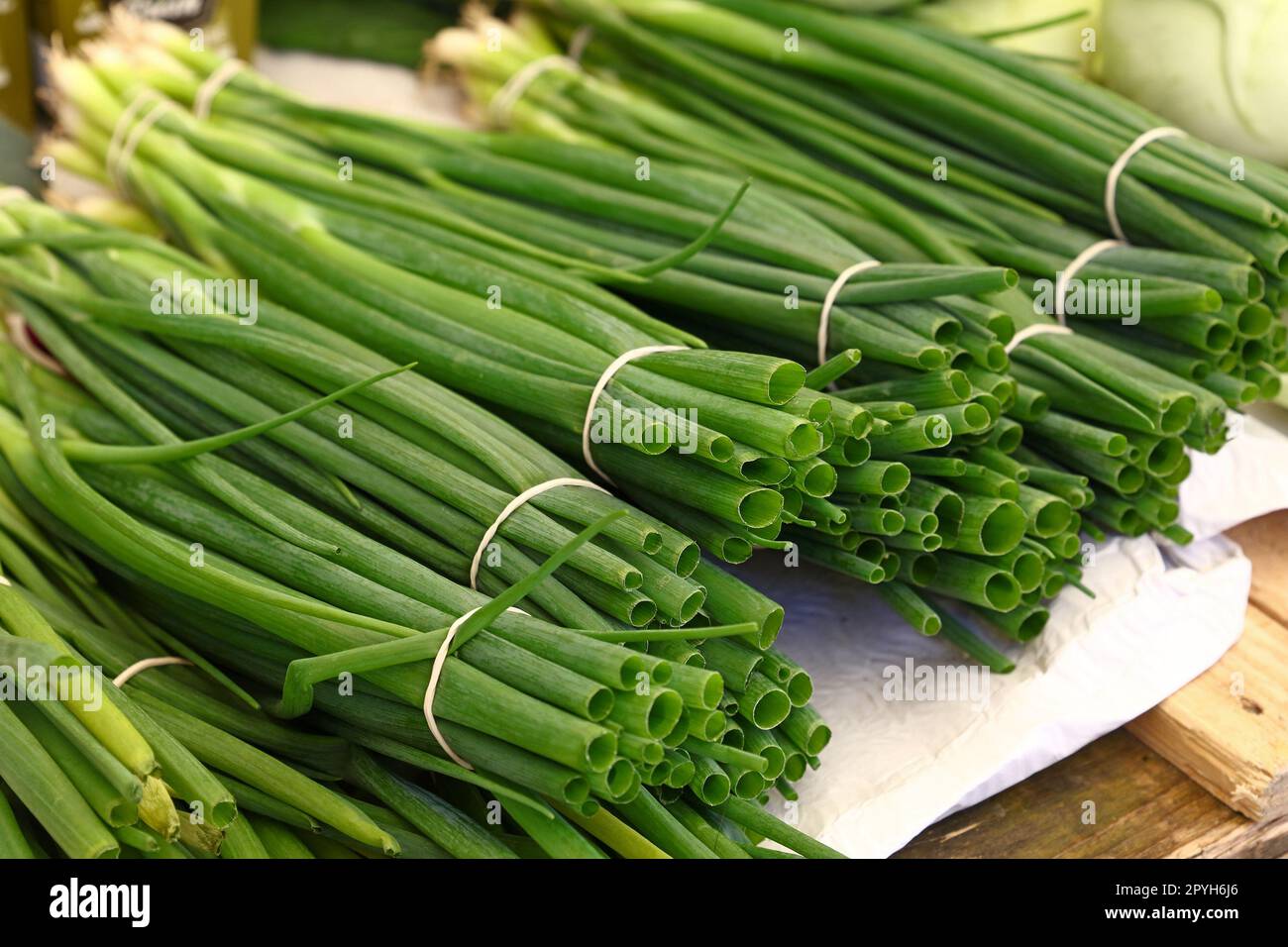 Spring onion green hi-res stock photography and images - Alamy
