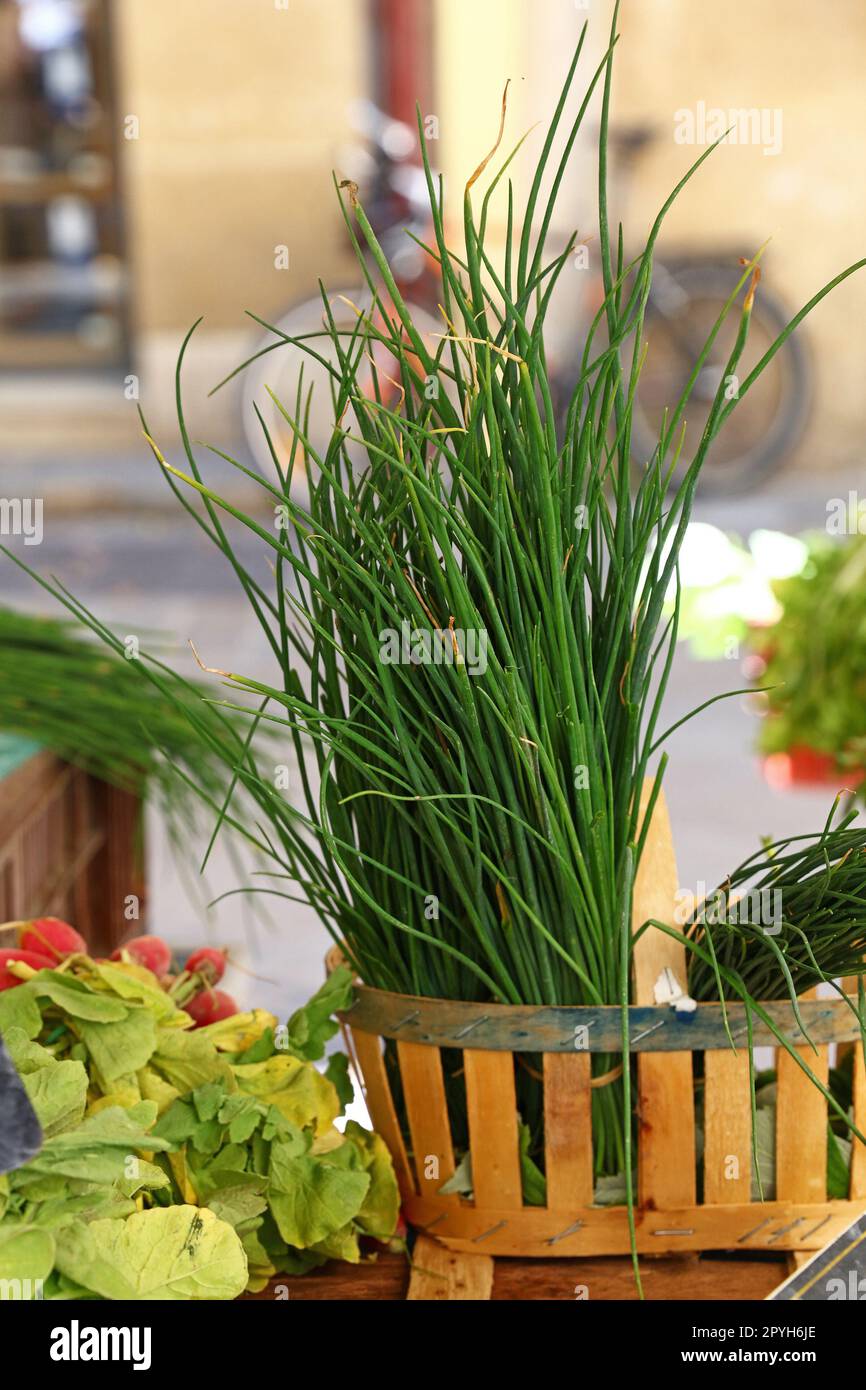 Heap of fresh green spring bunch onion Stock Photo - Alamy