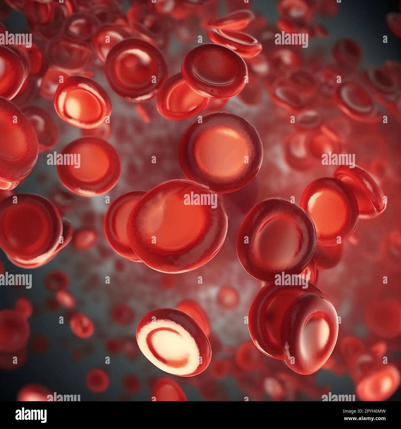 Leukocytes microscope hi-res stock photography and images - Alamy