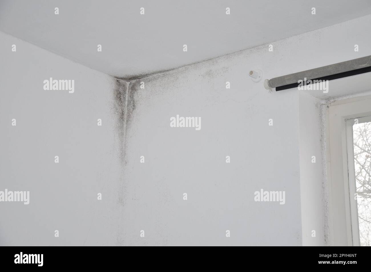 In need of renovation hi-res stock photography and images - Alamy