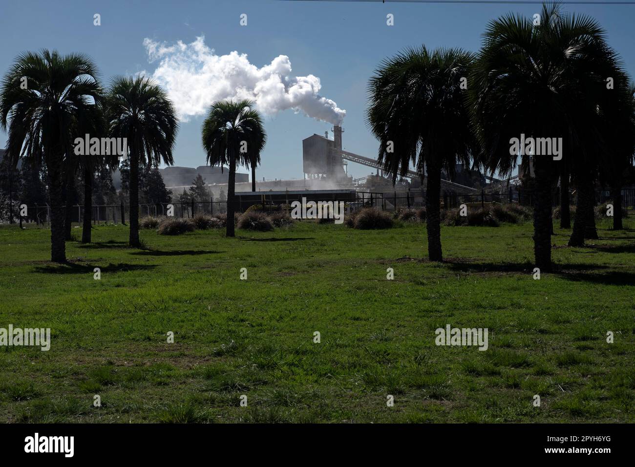 Vapors rise from a smokestack at the Ternium steel factory in San ...