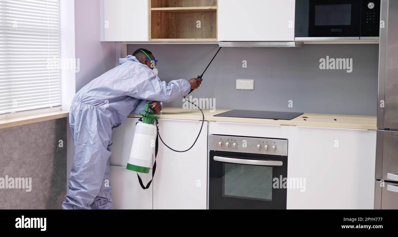 Man Showing At Pest Control Worker Spraying Insecticide On Shelf Stock ...