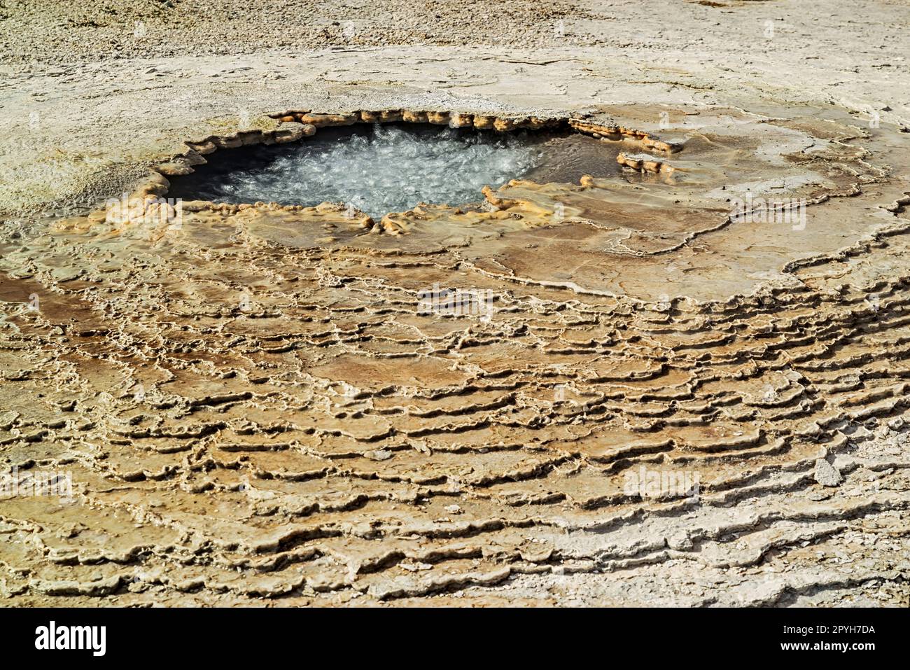 Steaming springs and fumaroles in Hveravellir, Iceland Stock Photo - Alamy