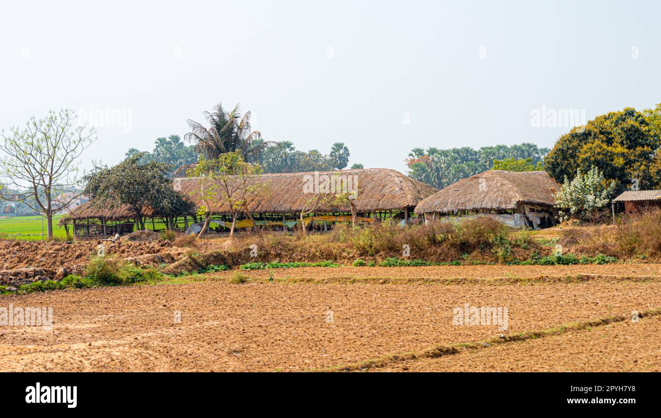 Indian village folk hi-res stock photography and images - Alamy