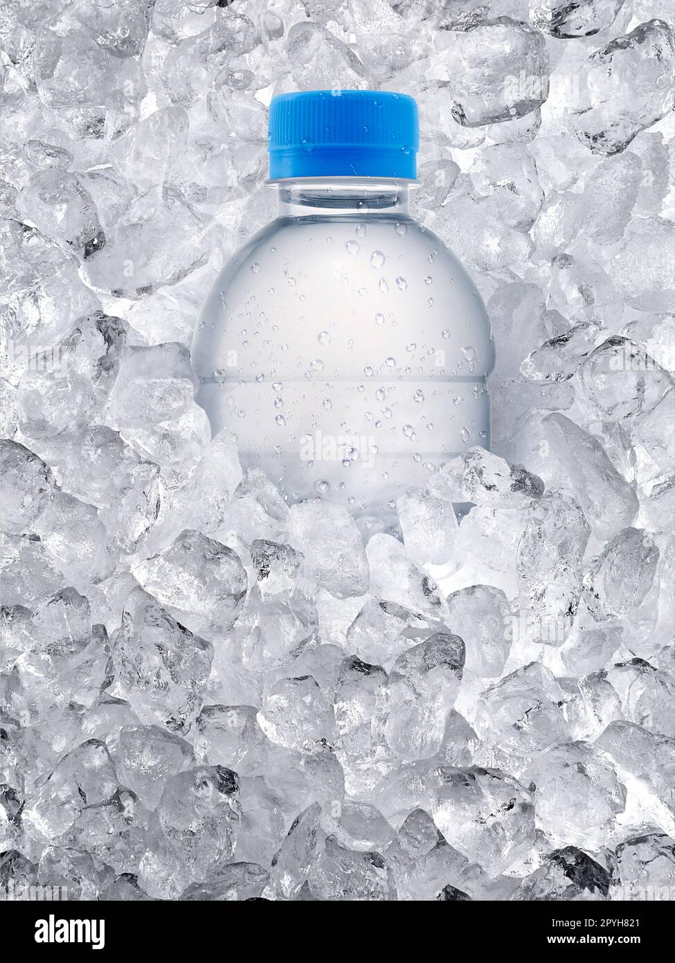 Bottle In Ice Cube at Charles Betz blog