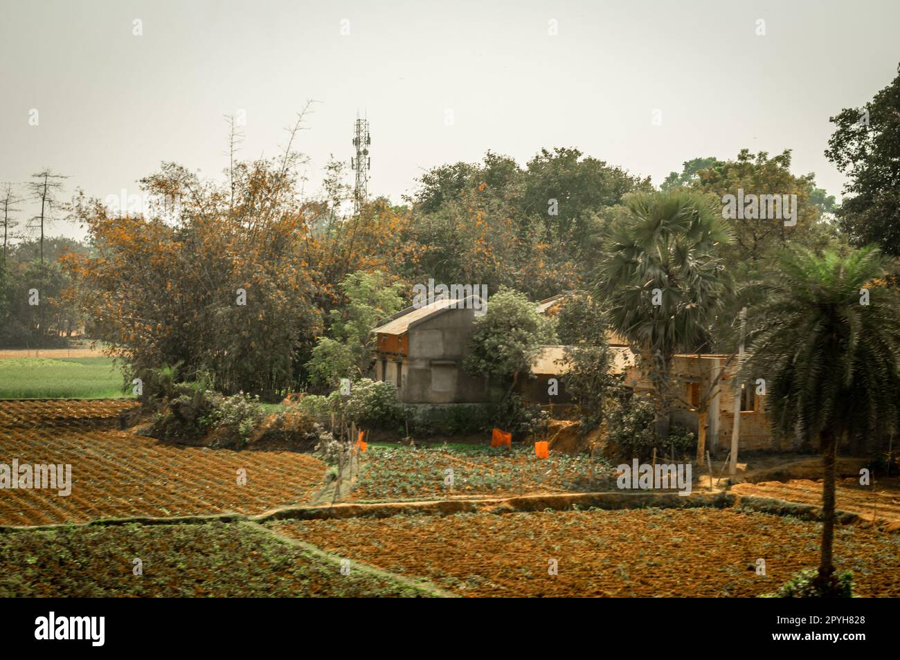 Forest village india hi-res stock photography and images - Alamy