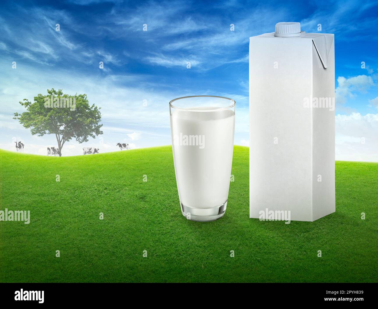 Fresh milk in glass and blurred landscape with cow on meadow. Healthy ...