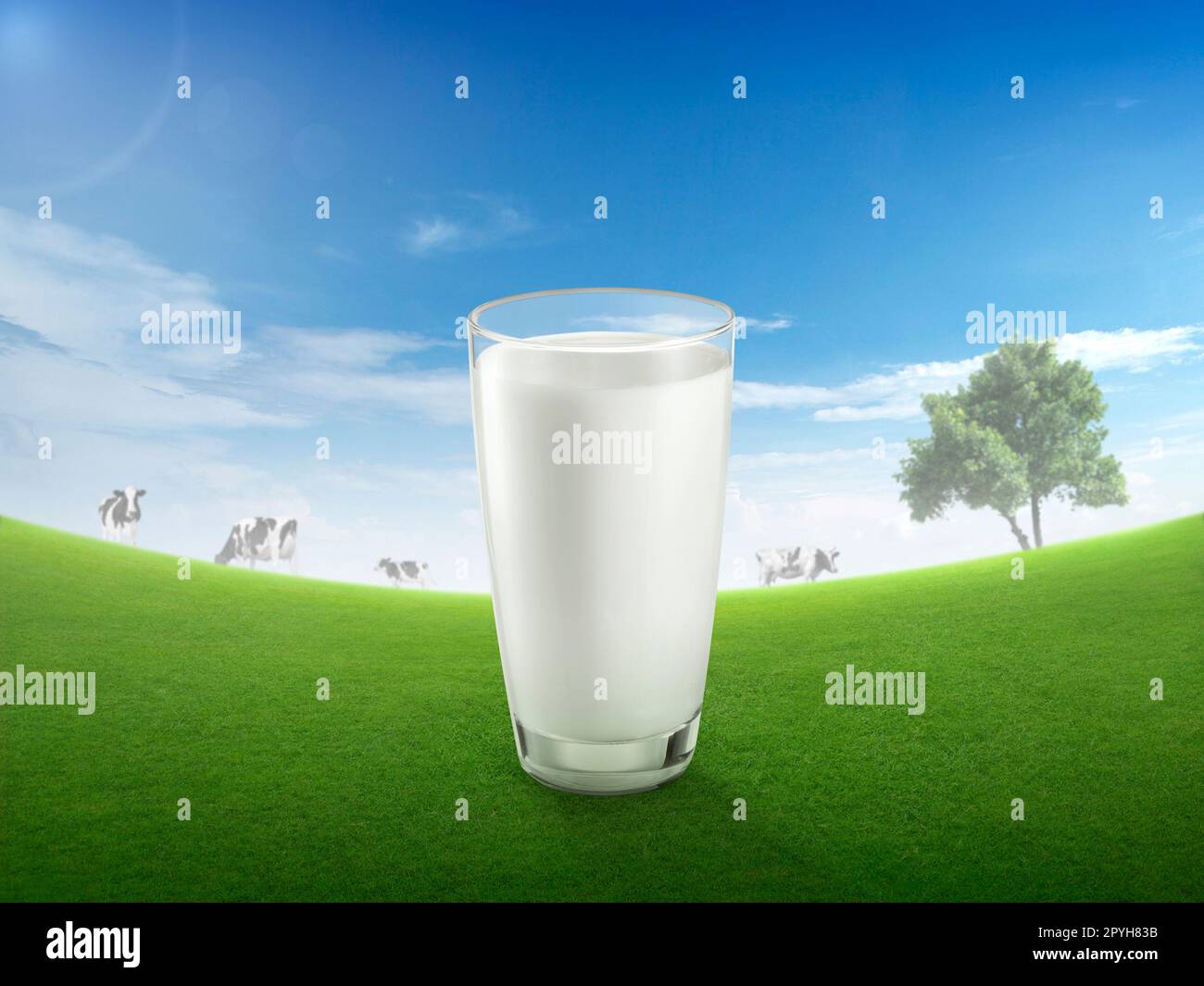 Fresh milk in glass and blurred landscape with cow on meadow. He Stock ...