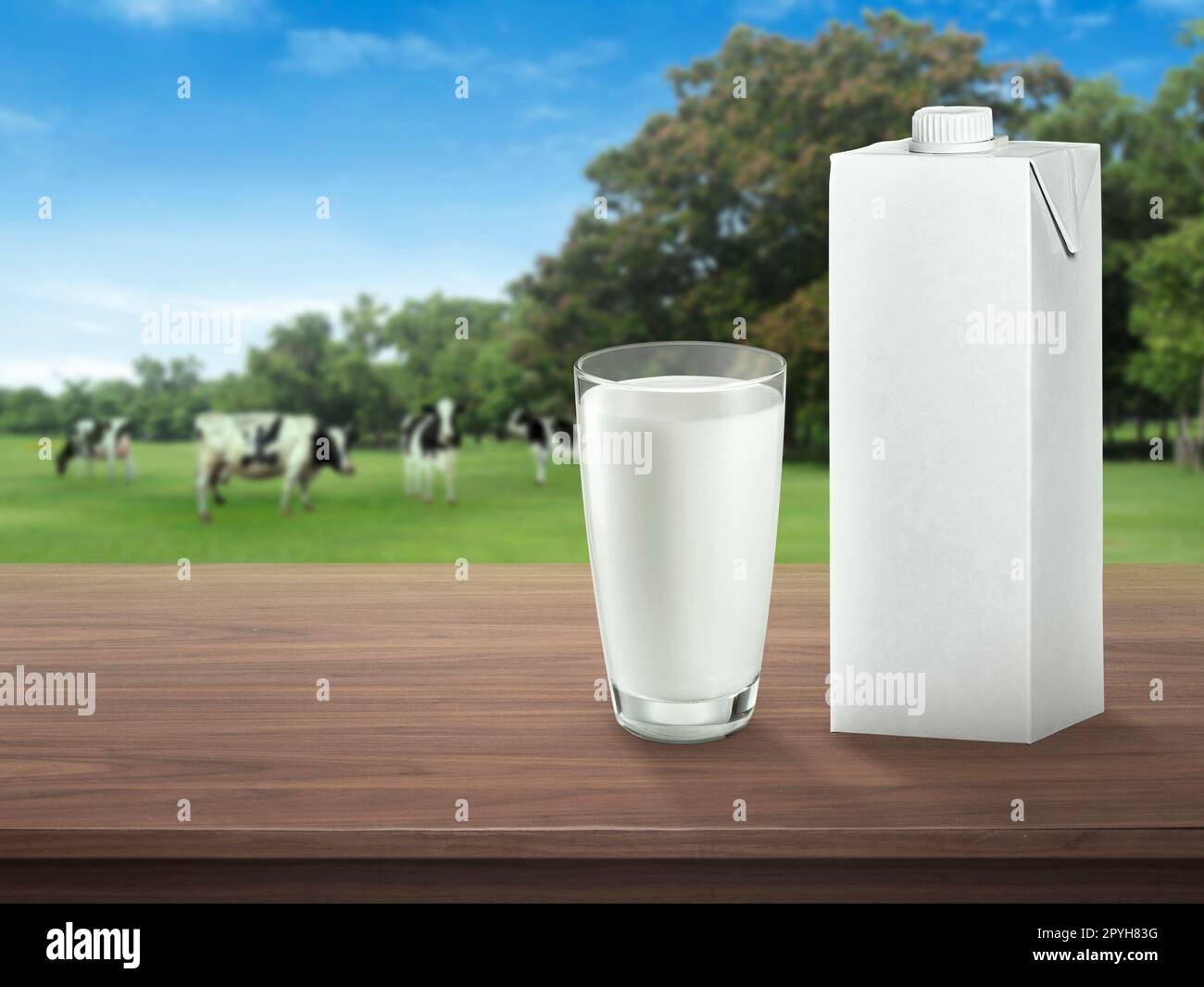 Fresh milk in glass on dark wooden tabletop and blurred landscape with ...