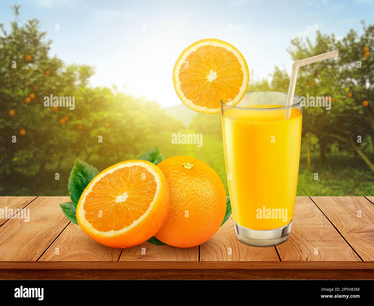 Fresh orange juice with fruits on wooden table and orange plantation ...
