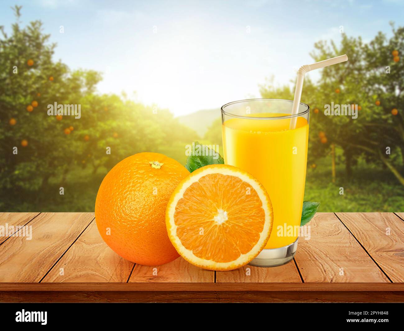 Fresh orange juice with fruits on wooden table and orange plantation ...