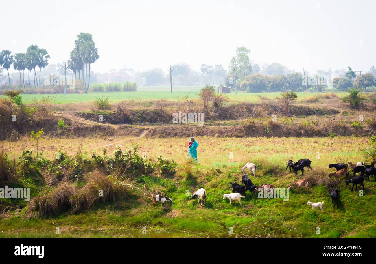 Far distance view hi-res stock photography and images - Alamy