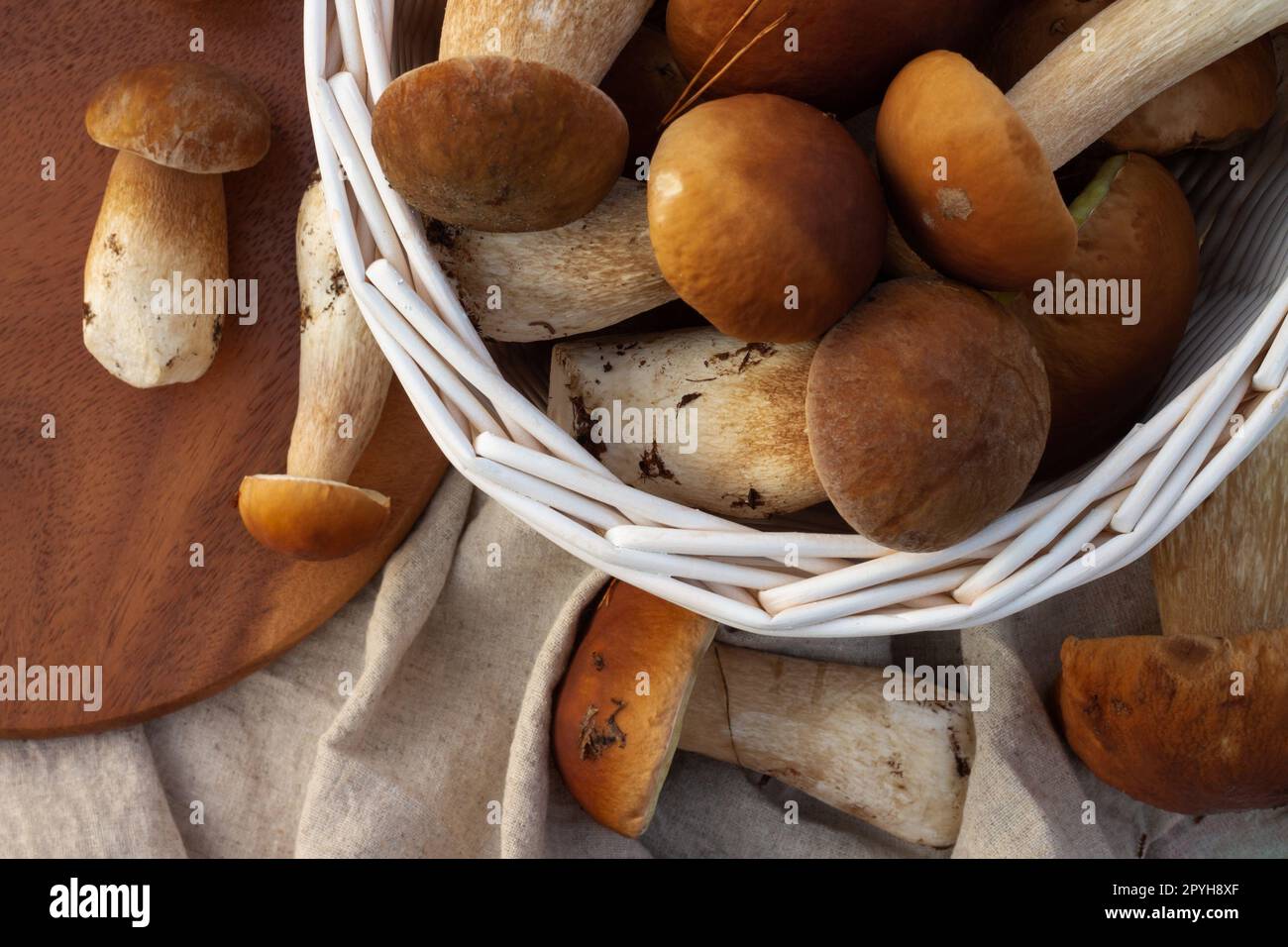 Top view edible mushrooms hi-res stock photography and images - Alamy