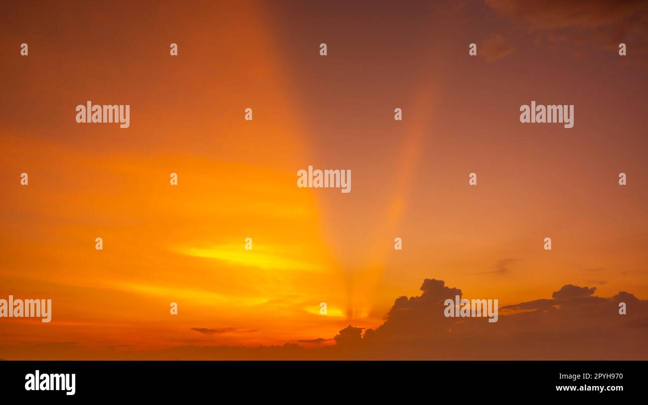 Trend color background Stock Photo - Alamy