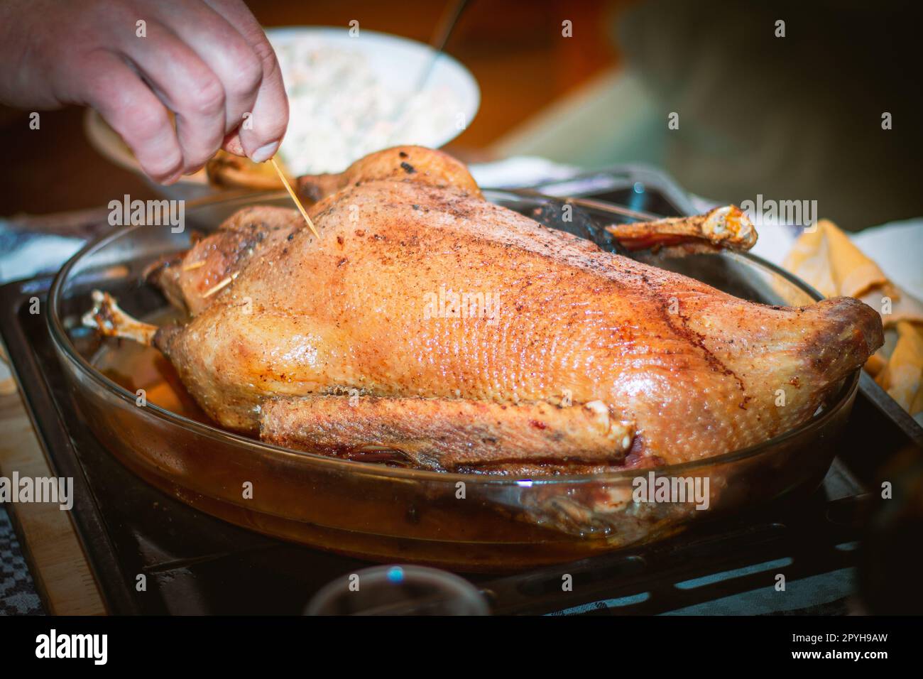 Mans hand checks the readiness of baked goose or turkey on baking sheet ...