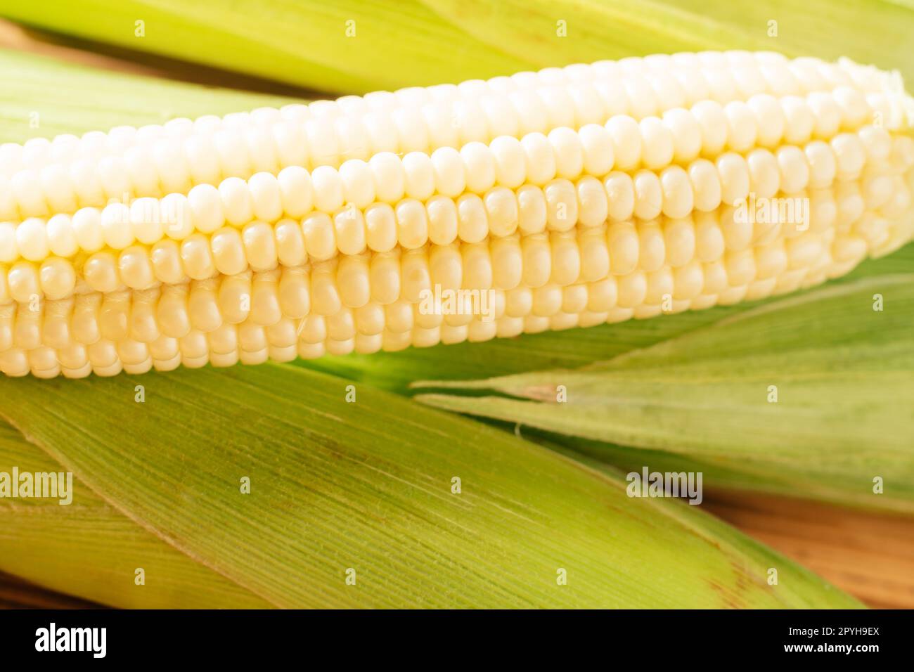 White Maize Corn