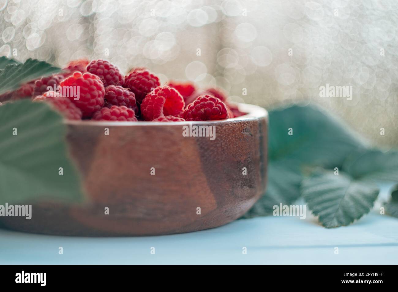 Full bush hi-res stock photography and images - Alamy
