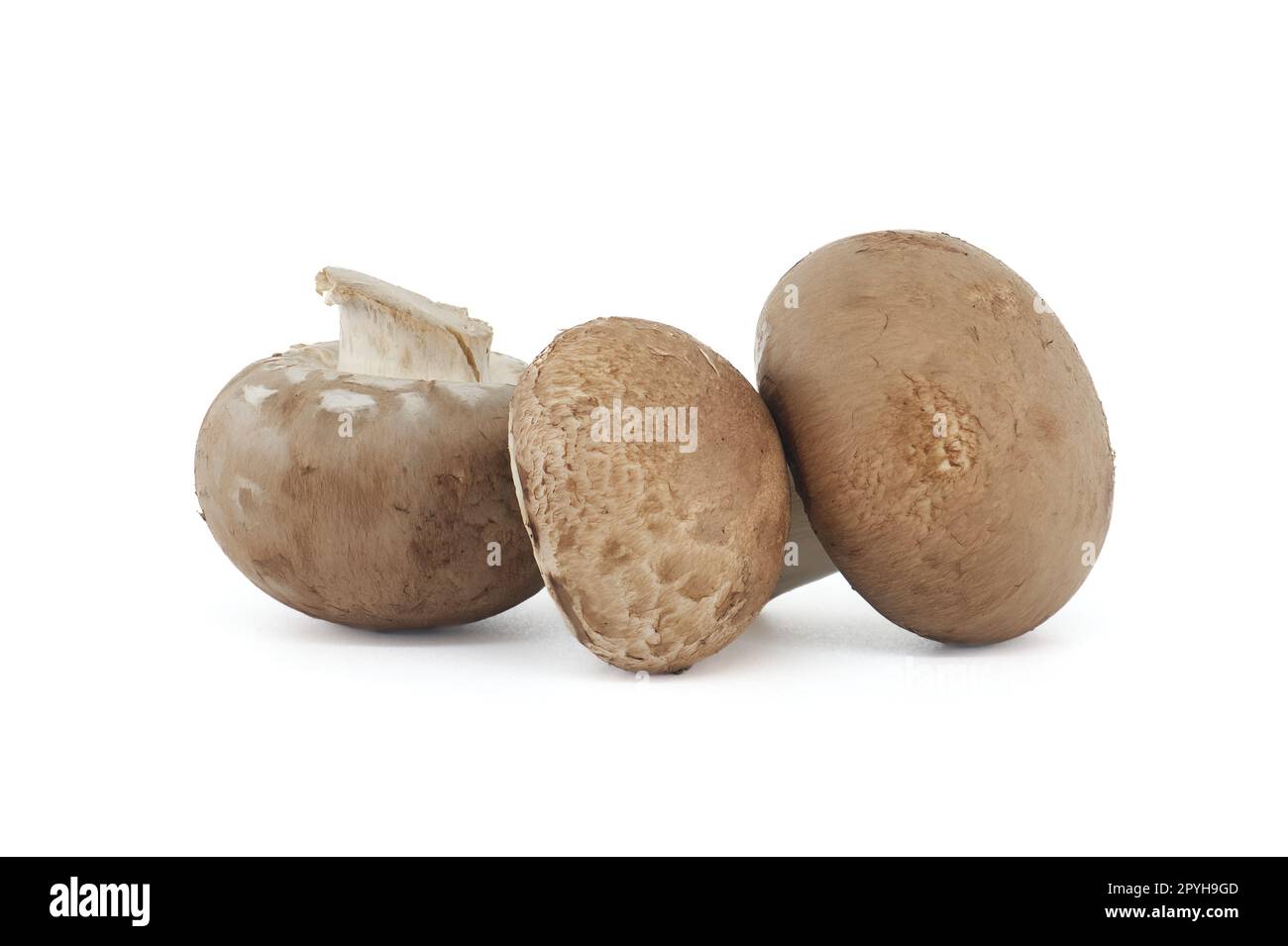 Brown cremini baby bella button hi-res stock photography and images - Alamy