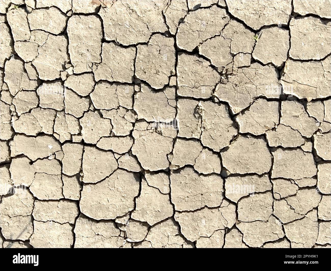 Desert texture. Good for background. Dry cracked earth and sand. Deep ...