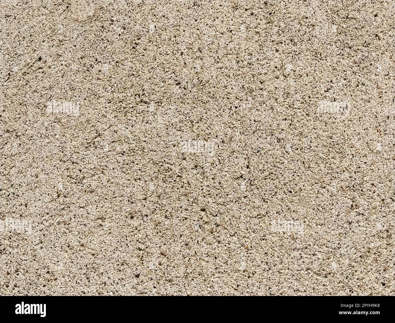 Small Stone Wall Interior