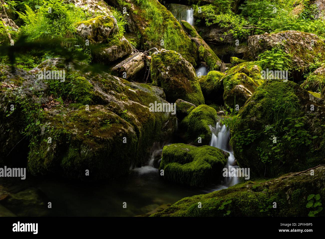 small alpine creek in austria near Hintersee Stock Photo - Alamy