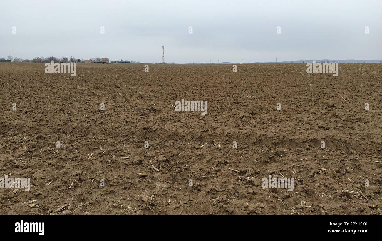 Oilcake remaining after harvesting corn on the ground. Clay, furrows ...