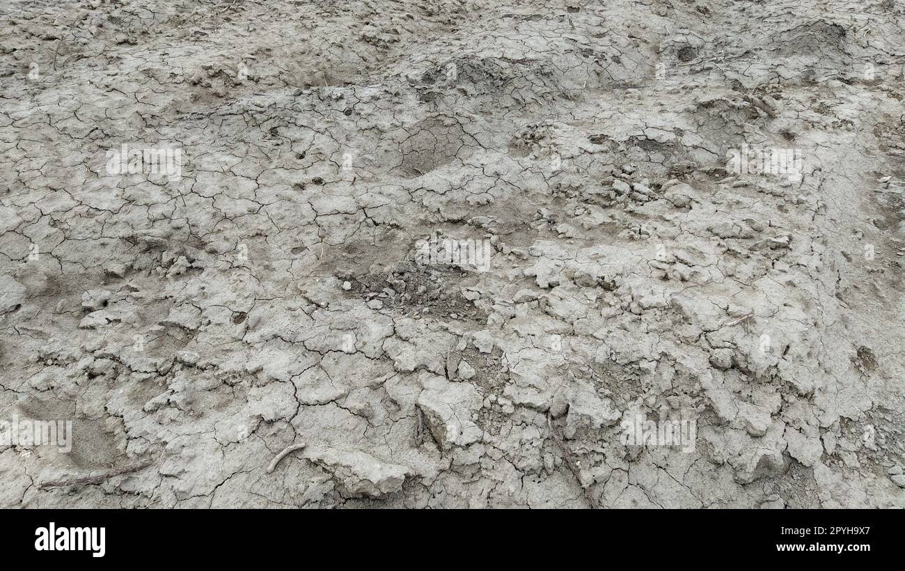 Wet, fertile land. Clay soil. Preparing the land for planting. Agricultural and natural theme ...