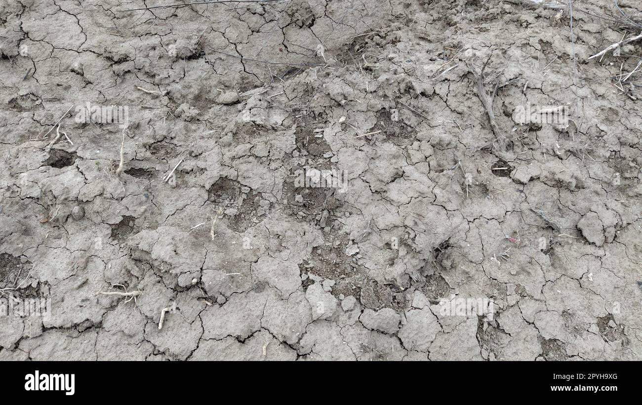 Wet, fertile land. Clay soil. Preparing the land for planting. Agricultural and natural theme ...