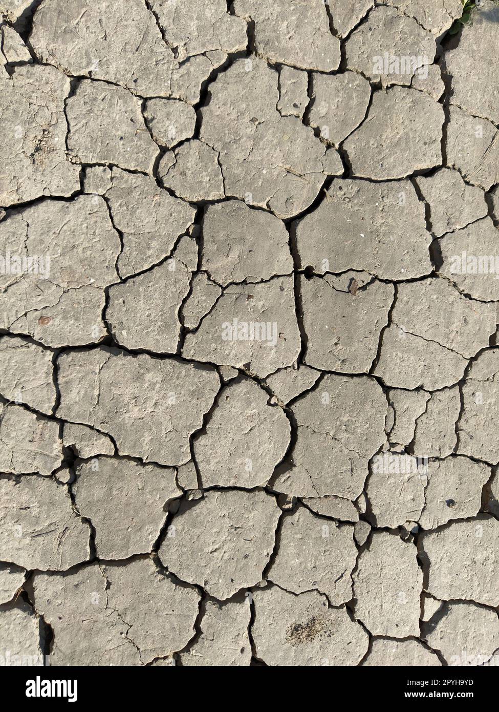 Cracks in the ground. Aridity. Gray soil. Desert. Close up of cracked ...