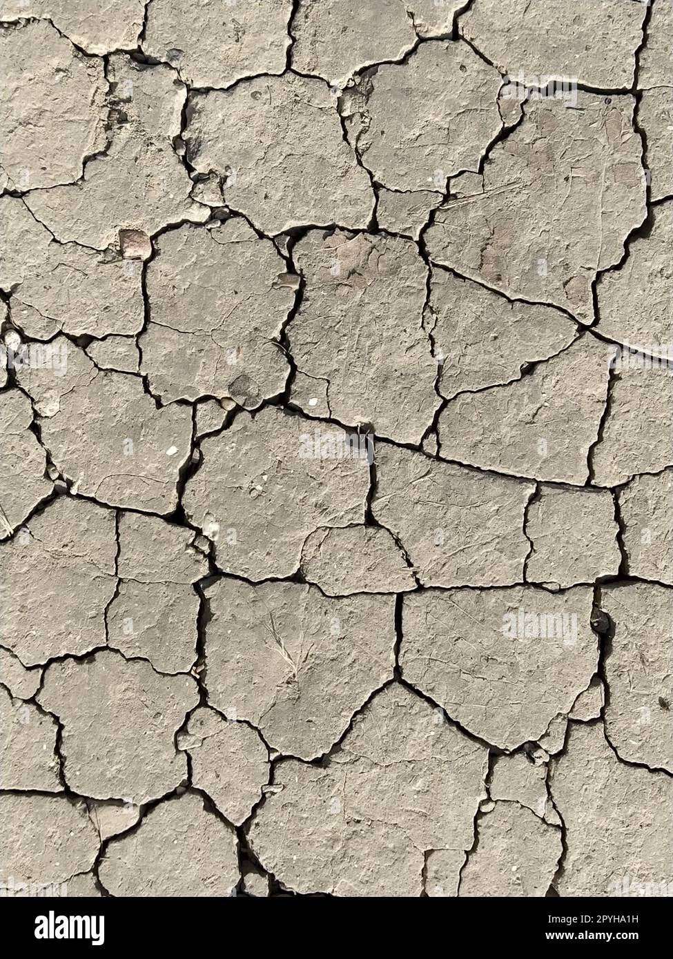 Cracks in the ground. Aridity. Gray soil. Desert. Close up of cracked ...