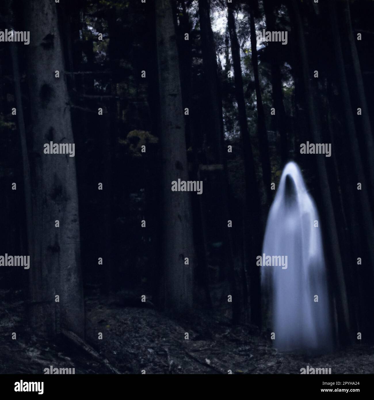 A ghostly vision in white robes roams between tree trunks. Ghost in the ...