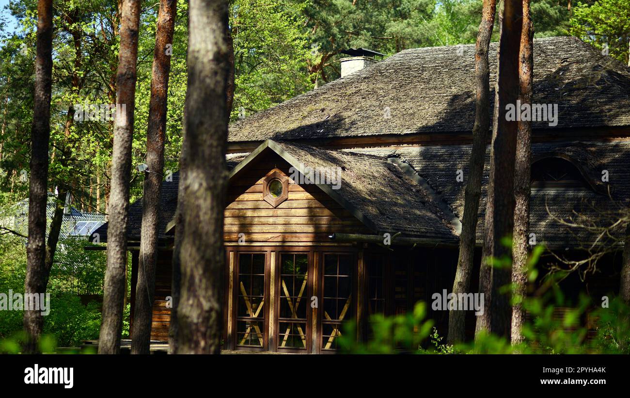 The harmony of nature and architecture. Eco architecture. Green trees ...