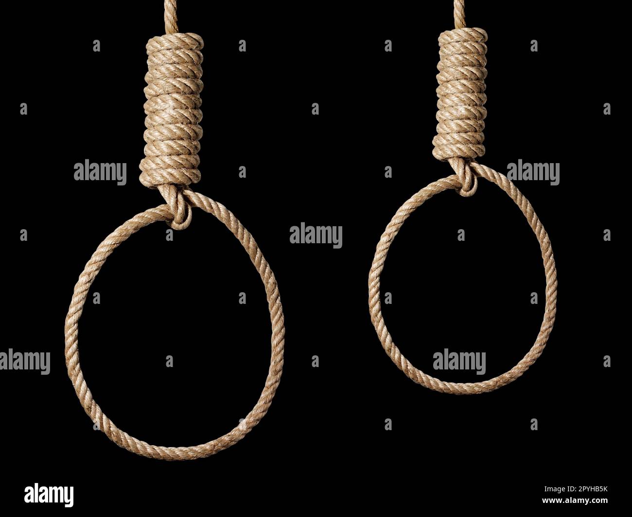 Rope noose with hangman's knot hanging in front of black background ...