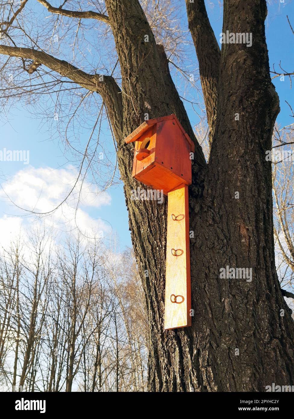 Tree with birdhouses hi-res stock photography and images - Alamy
