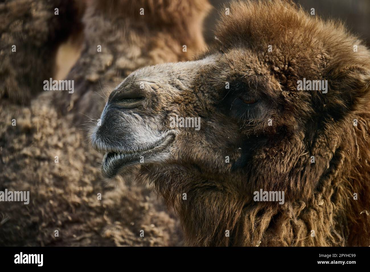 Adult spring hi-res stock photography and images - Alamy