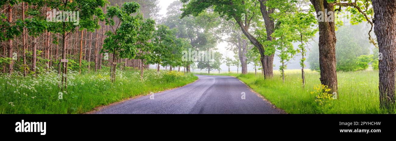 Natural road view hi-res stock photography and images - Alamy
