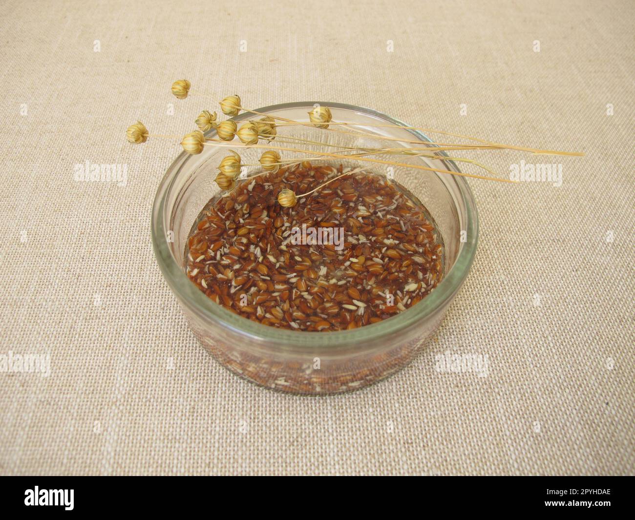 Swelling seeds hi-res stock photography and images - Alamy