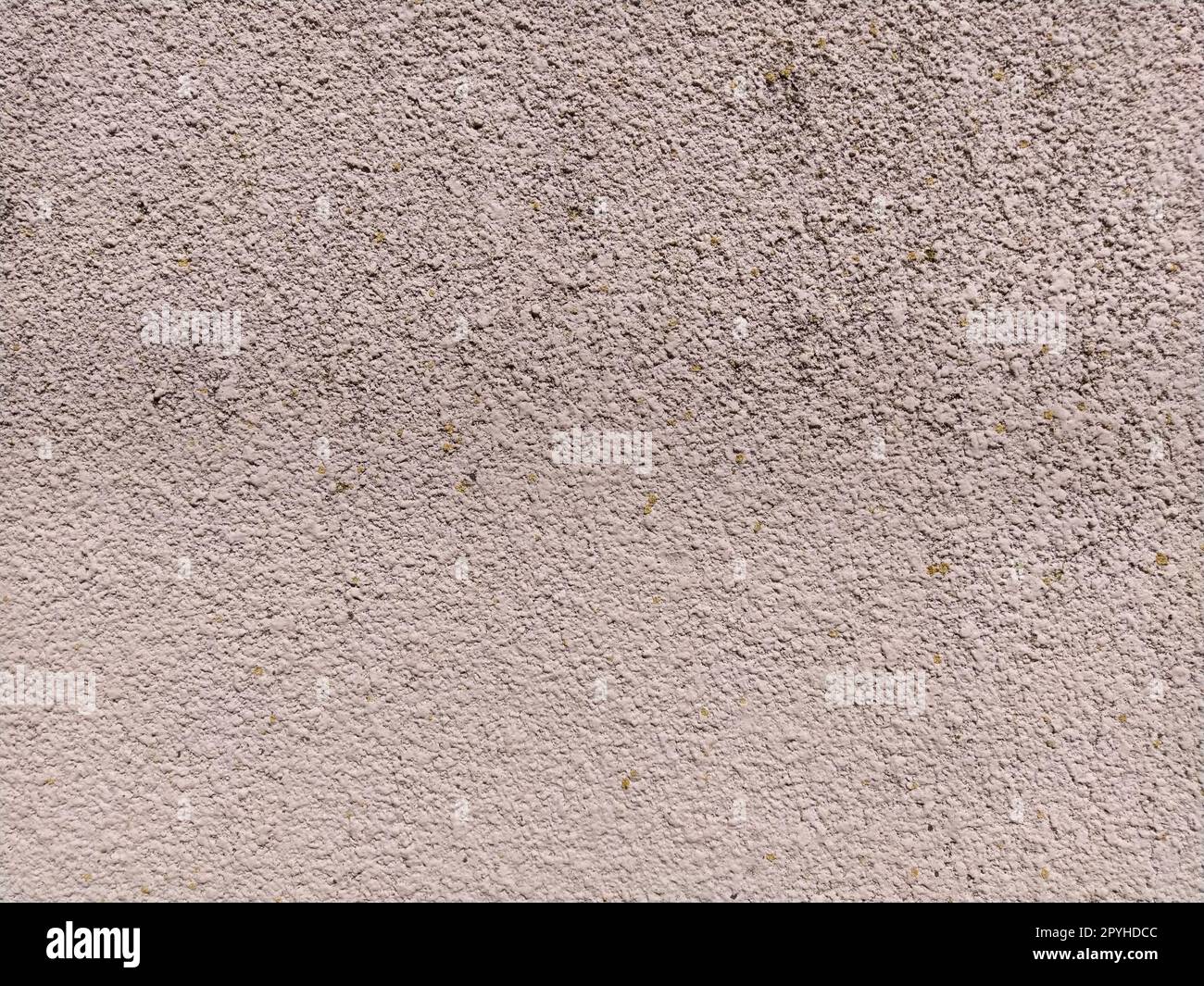 Pink concrete texture hi-res stock photography and images - Alamy